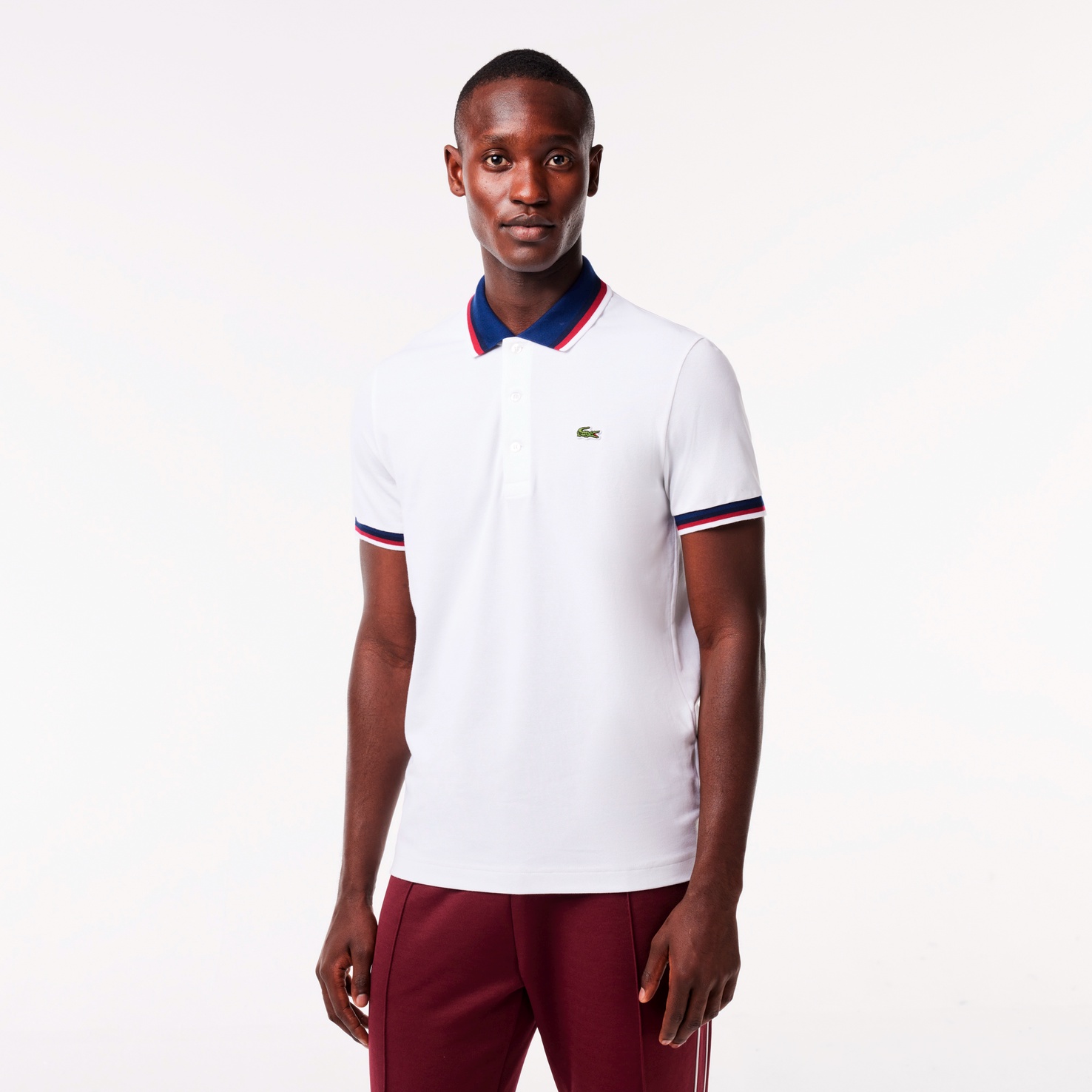 配色ボーダーリブニット鹿の子地ポロシャツ PH6351 - ラコステ（LACOSTE）公式オンラインストア