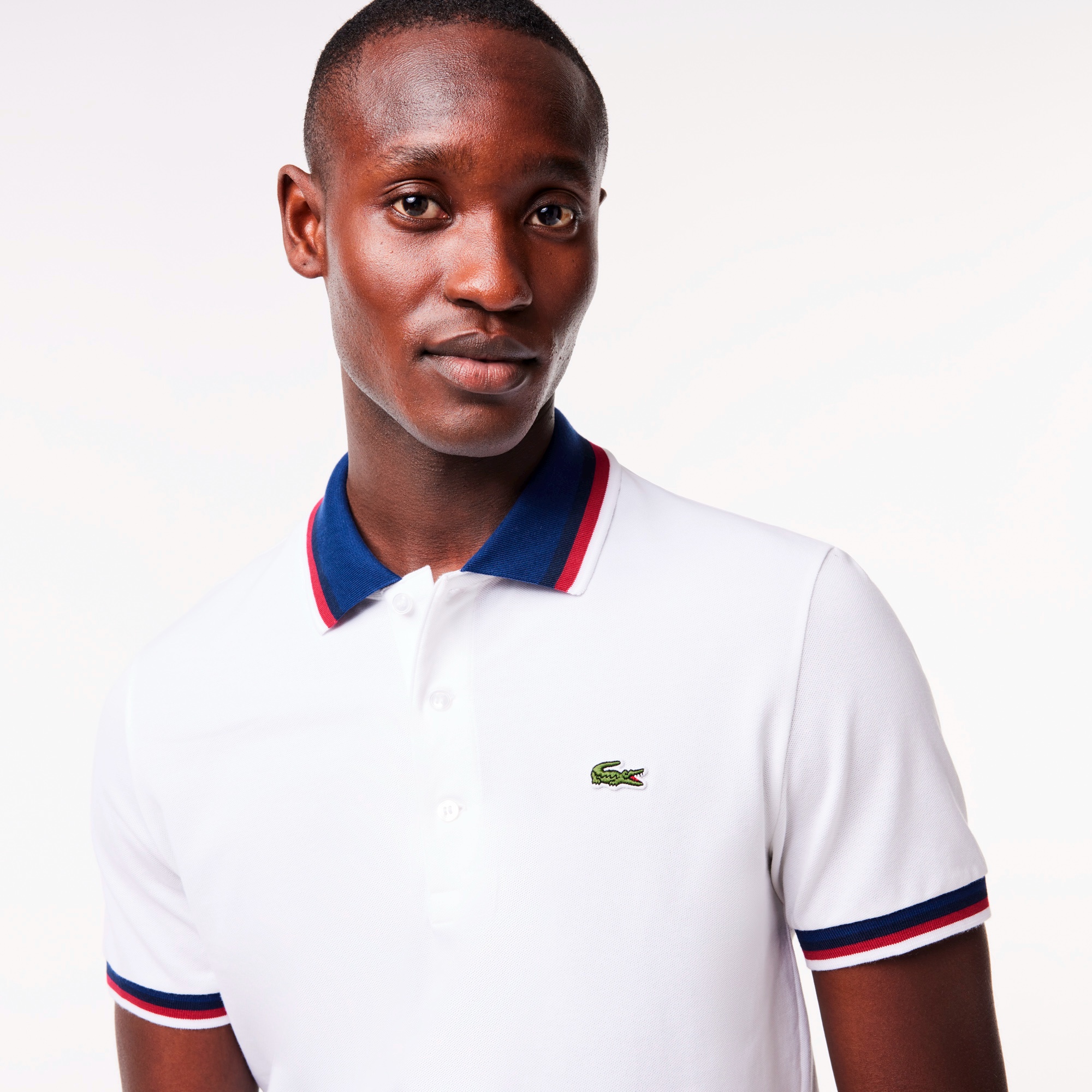 配色ボーダーリブニット鹿の子地ポロシャツ PH6351 - ラコステ（LACOSTE）公式オンラインストア