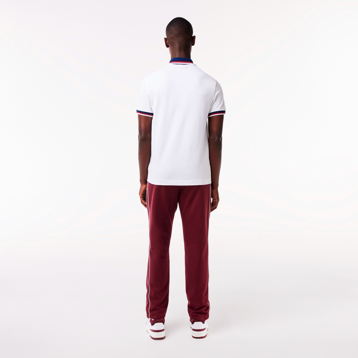 配色ボーダーリブニット鹿の子地ポロシャツ PH6351 - ラコステ（LACOSTE）公式オンラインストア